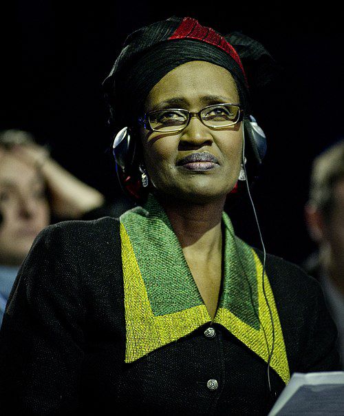 winnie_byanyima,_directrice_exécutive_d\’oxfam_international_(cropped ...